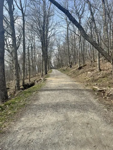 Best Views Trails in Moses H Cone Memorial Park | AllTrails