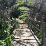 Two Trees Trail, California - 1,389 Reviews, Map | AllTrails