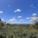 Two Trees Trail, California - 1,389 Reviews, Map | AllTrails