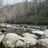 Mouse Creek Falls via Big Creek Trail, Tennessee - 2,646 Reviews, Map ...