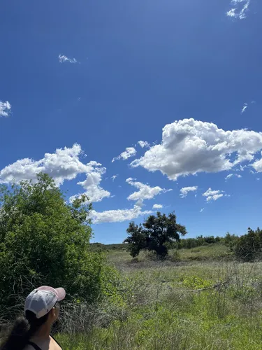 Best Bird Watching Trails in Irvine Regional Park | AllTrails