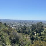 Runyon Canyon Trail, California - 8,064 Reviews, Map | AllTrails