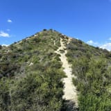 Runyon Canyon Trail, California - 8,064 Reviews, Map | AllTrails