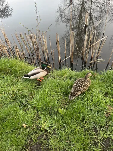 Best Hikes and Trails in Rimrose Valley Park | AllTrails