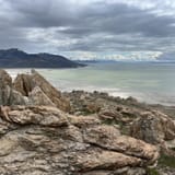 Buffalo Point Trail, Utah - 1,099 Reviews, Map | AllTrails
