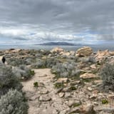 Buffalo Point Trail, Utah - 1,099 Reviews, Map | AllTrails