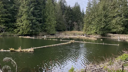 Best Easy Trails in Morrell Nature Sanctuary | AllTrails