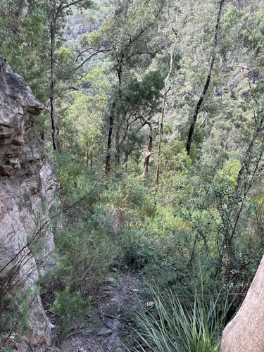 Best Camping Trails in Colo Heights | AllTrails