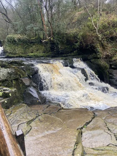 Best Hikes and Trails in Slieve Bloom Mountains Nature Reserve | AllTrails