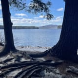 Chamberlain-Reynolds Memorial Forest Loop, New Hampshire - 1,010 ...