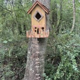 Hanmer Springs Fairy Forest Walk, Canterbury, New Zealand - 25 Reviews ...