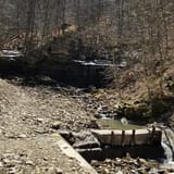 Chedoke Radial Trail, Ontario, Canada - 721 Reviews, Map | AllTrails