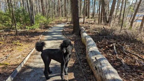 Best Views Trails in Rachel Carson National Wildlife Refuge | AllTrails