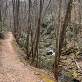 Laurel Run Trail, Tennessee - 699 Reviews, Map | AllTrails