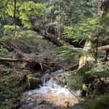 Rathdrum Mountain Story Walk Trail, Idaho - 124 Reviews, Map | AllTrails