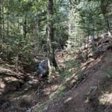Rathdrum Mountain Story Walk Trail, Idaho - 124 Reviews, Map | AllTrails