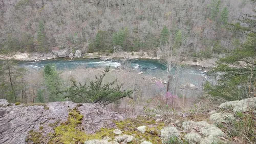 Best Hikes and Trails in Obed Wild and Scenic River | AllTrails