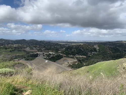 Best Bird Watching Trails in Irvine Regional Park | AllTrails
