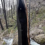 Fall Creek Falls Trail, Oregon - 375 Reviews, Map | AllTrails