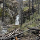 Fall Creek Falls Trail, Oregon - 375 Reviews, Map | AllTrails