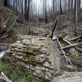 Fall Creek Falls Trail, Oregon - 336 Reviews, Map | AllTrails