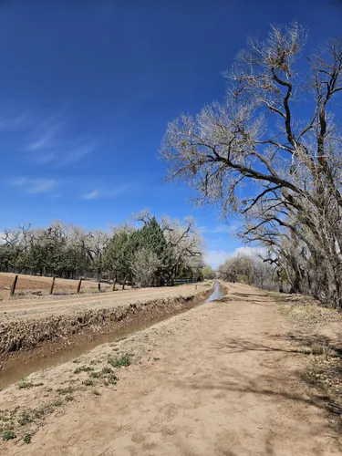 Best Hikes and Trails in Corrales Bosque Preserve | AllTrails
