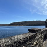 Lake Scranton Loop, Pennsylvania - 713 Reviews, Map | AllTrails