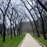 Lake Atalanta Loop, Arkansas - 619 Reviews, Map | AllTrails