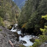 Dosewallips River Road Trail, Washington - 584 Reviews, Map | AllTrails