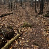 Hosack Run Loop via Appalachian Trail, Pennsylvania - 468 Reviews, Map ...