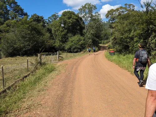 Ourimbah State Forest: de beste routes om te wandelen | AllTrails
