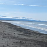 Dungeness Spit Trail, Washington - 1,567 Reviews, Map | AllTrails