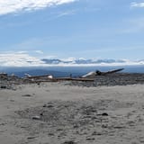 Dungeness Spit Trail, Washington - 1,567 Reviews, Map | AllTrails