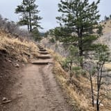 Horsetooth Falls Loop Trail, Colorado - 2,280 Reviews, Map | AllTrails