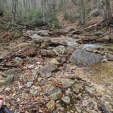 Riprap Trail , Virginia - 1,633 Reviews, Map | AllTrails