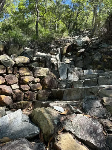 Best Hikes and Trails in Mount Coolum National Park | AllTrails