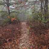 Riprap Trail , Virginia - 1,633 Reviews, Map | AllTrails