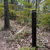 Cross Timbers Hiking Trail, Texas - 1,349 Reviews, Map | AllTrails