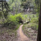 Cross Timbers Hiking Trail, Texas - 1,349 Reviews, Map | AllTrails