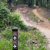 Cross Timbers Hiking Trail, Texas - 1,349 Reviews, Map | AllTrails