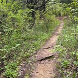 Cross Timbers Hiking Trail, Texas - 1,349 Reviews, Map | AllTrails