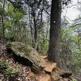 Cross Timbers Hiking Trail, Texas - 1,354 Reviews, Map | AllTrails