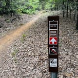 Cross Timbers Hiking Trail, Texas - 1,349 Reviews, Map | AllTrails