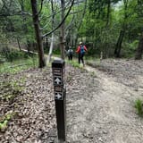 Cross Timbers Hiking Trail, Texas - 1,349 Reviews, Map | AllTrails