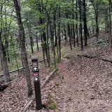 Cross Timbers Hiking Trail, Texas - 1,349 Reviews, Map | AllTrails