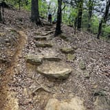 Cross Timbers Hiking Trail, Texas - 1,349 Reviews, Map | AllTrails