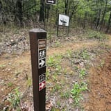 Cross Timbers Hiking Trail, Texas - 1,349 Reviews, Map | AllTrails