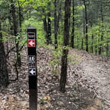 Cross Timbers Hiking Trail, Texas - 1,349 Reviews, Map | AllTrails