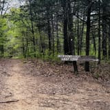 Cross Timbers Hiking Trail, Texas - 1,349 Reviews, Map | AllTrails