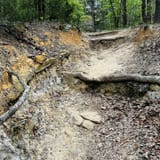 Cross Timbers Hiking Trail, Texas - 1,349 Reviews, Map | AllTrails